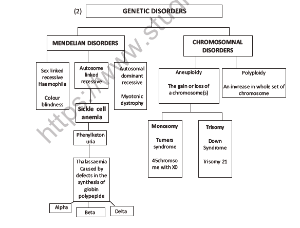 CBSE Class 12 Biology Principles of Inheritance And Variation Question Bank